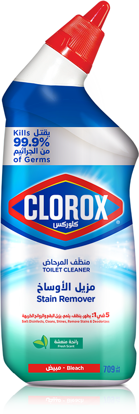 Bathroom Toilet Cleaner with Bleach Clorox Arabia